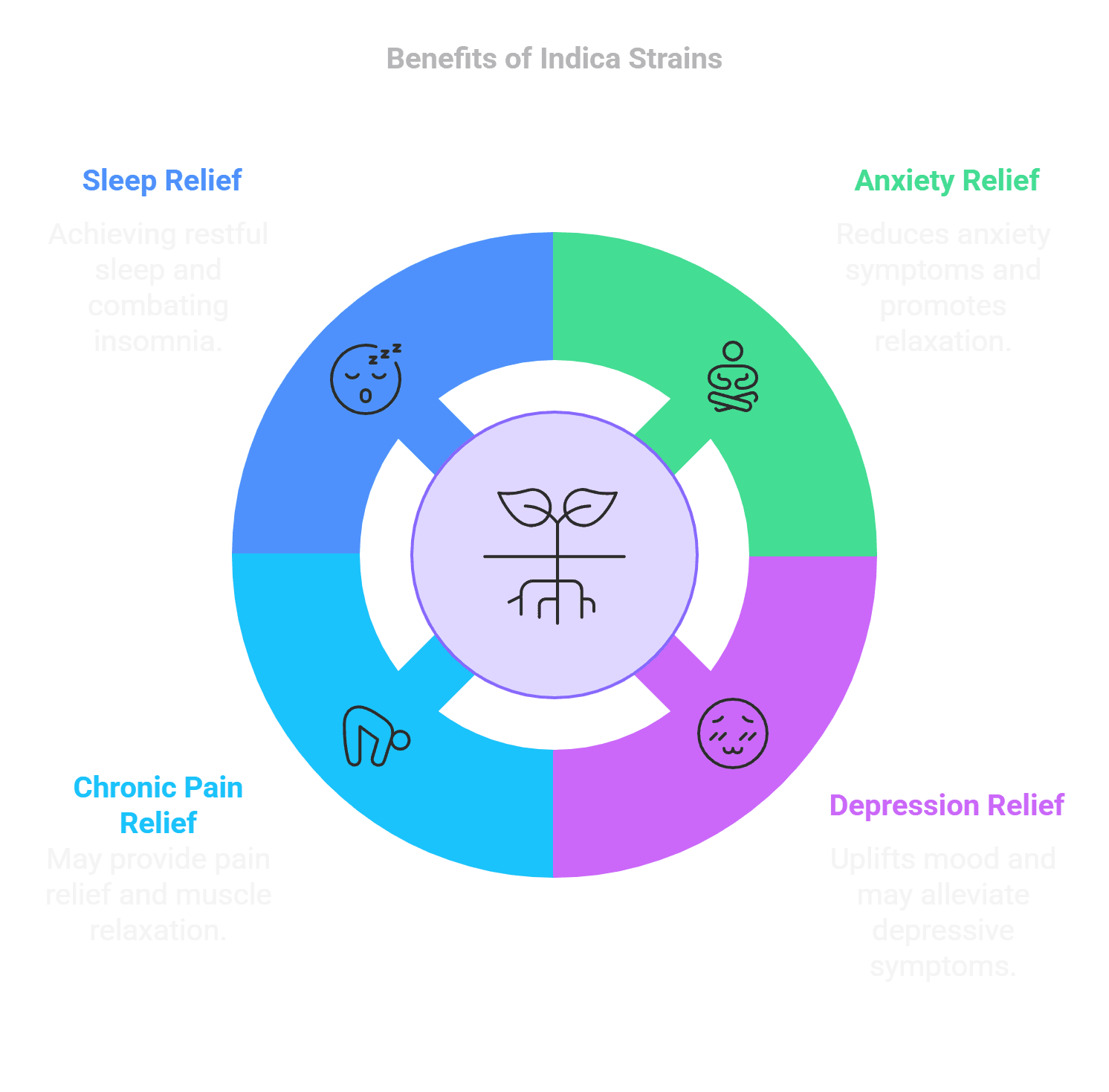 The Ultimate Guide to Indica, Sativa, and Hybrid Cannabis Strains - Blossom